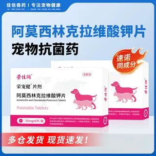 狗狗消炎药有哪些比较好图标