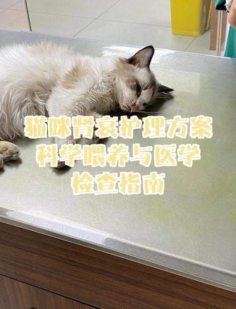 医学猫原题率太高了截图