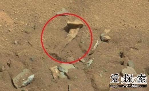 火星人真正的样子图标