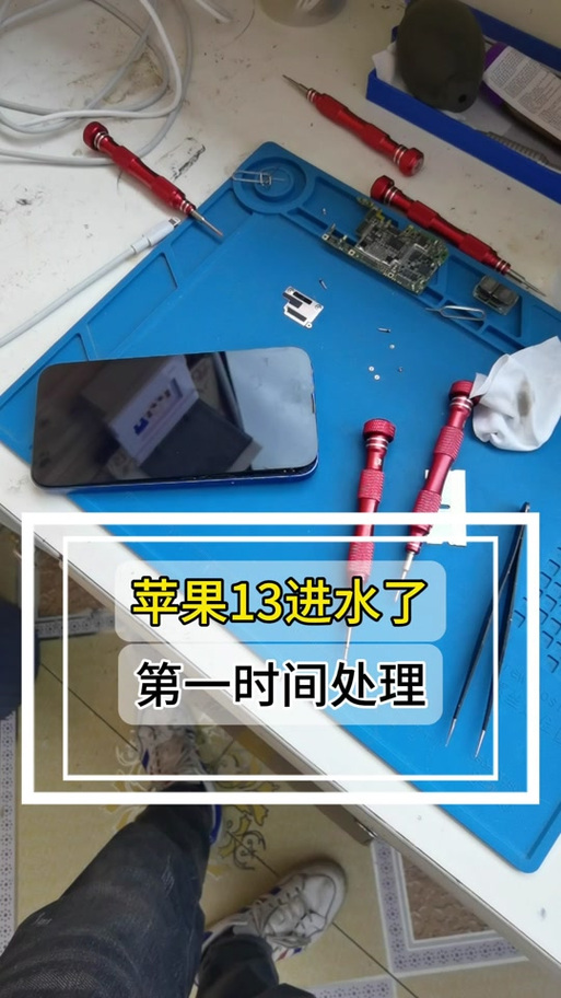 手机进水了,声音有杂音怎么办截图