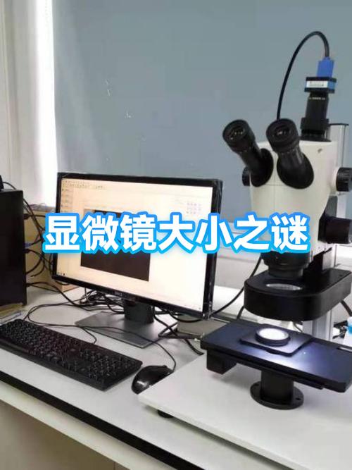 华为照片有大有小是什么原因