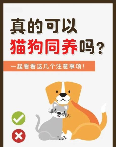 最简单的养狗方法缩略图