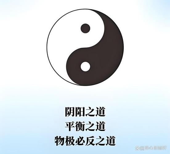阴阳之术图标
