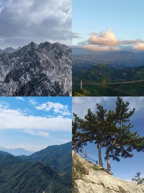赏景挣钱两不误截图