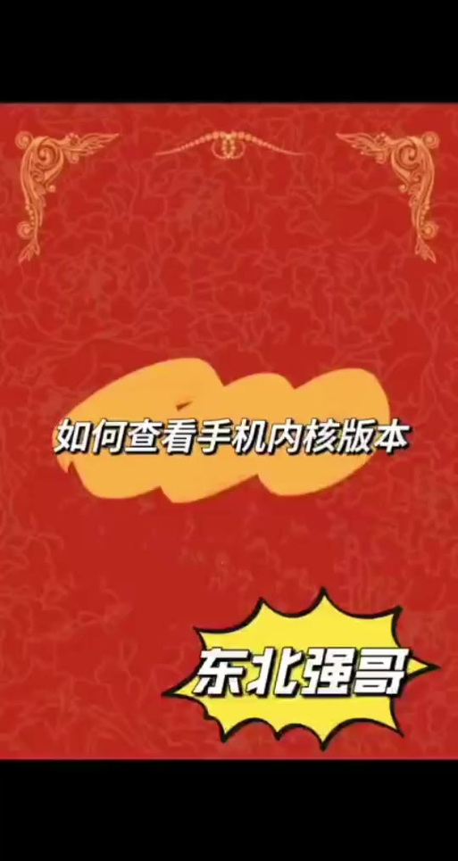 内核版本怎么看图标