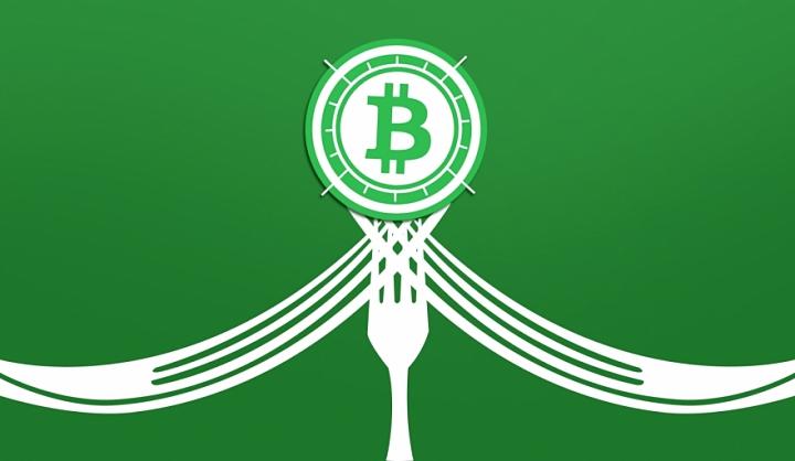 bch硬分叉图标