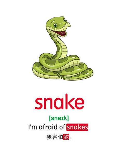甜品英文snake图标