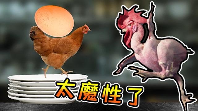 母鸡护蛋模拟器图标