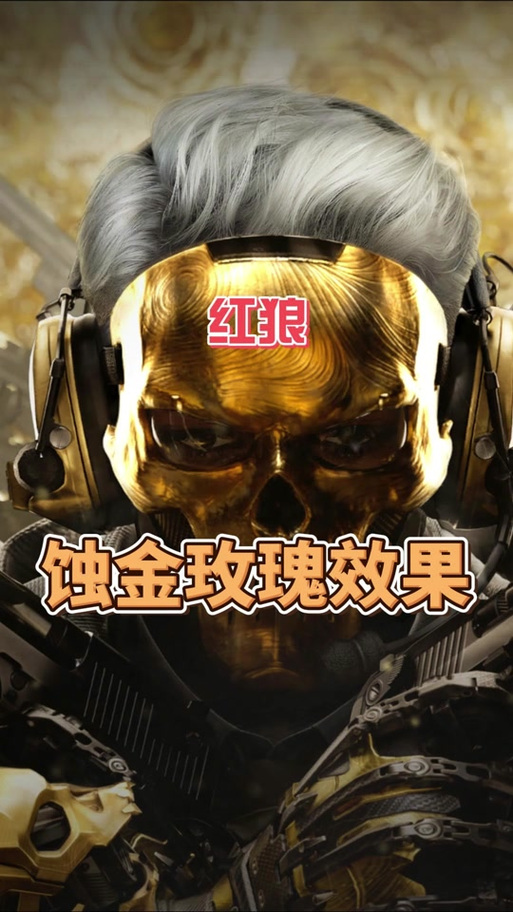 蚀金玫瑰图片图标