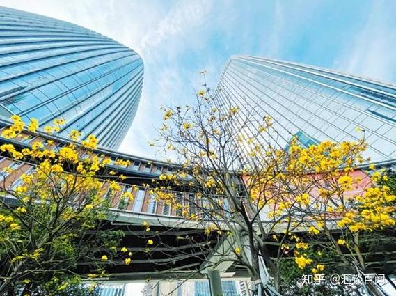 深圳风楼截图