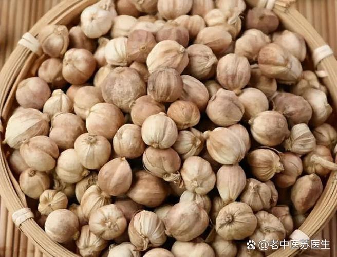 豆蔻是什么样子的图标