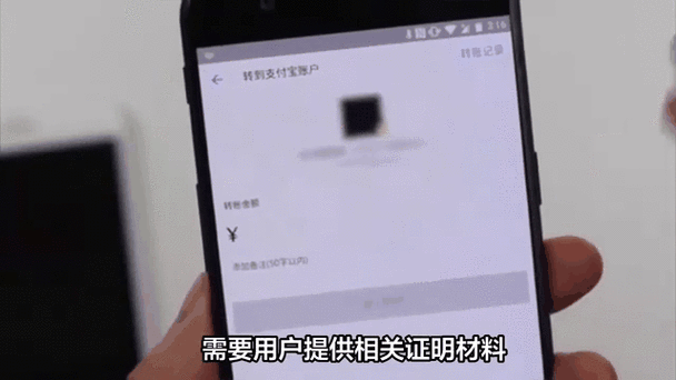 支付宝账号被盗用的后果图标
