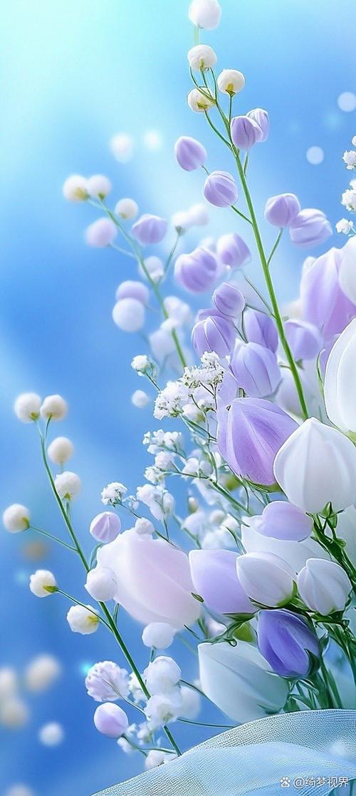 wallpaper免费图标