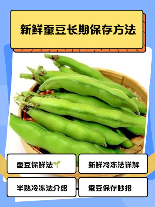 新鲜蚕豆长期保存方法游戏截图