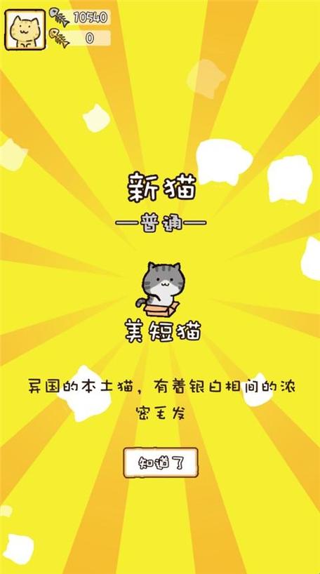 猫咪庭院物语