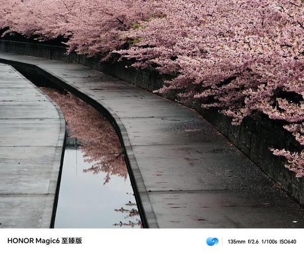 荣耀magic6拍照样张截图