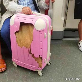 地铁箱子爆率修改器图标