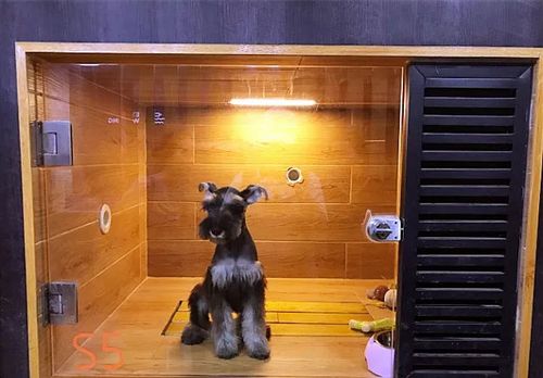 萌宠小屋宠物店图标