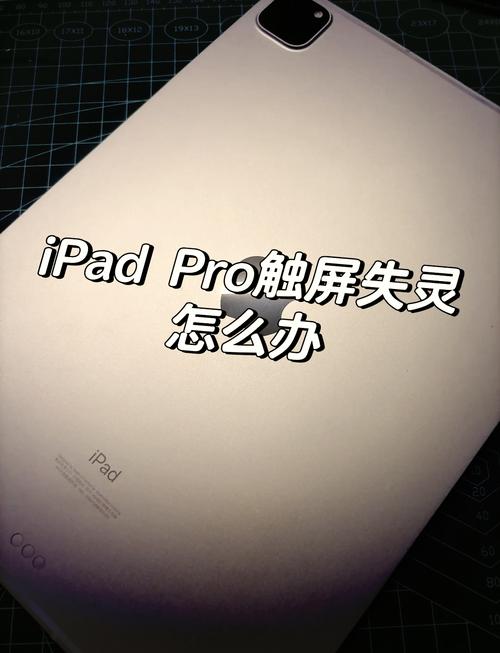 ipadpro突然屏幕失灵图标