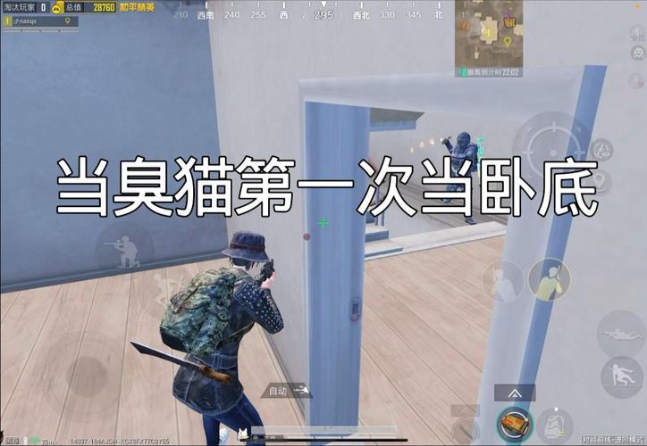 臭猫卧底开荒图标