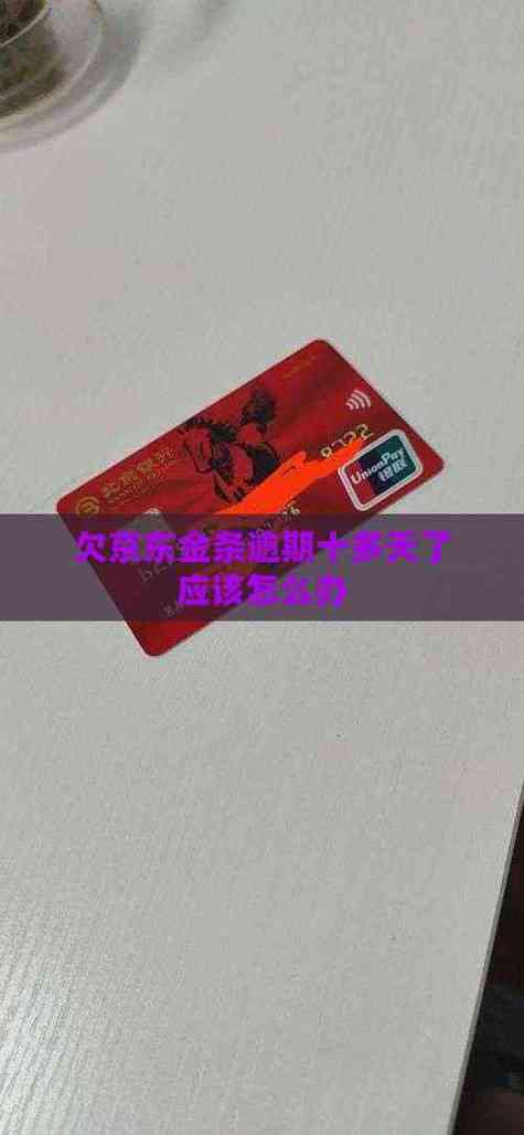 京东金条逾期10天