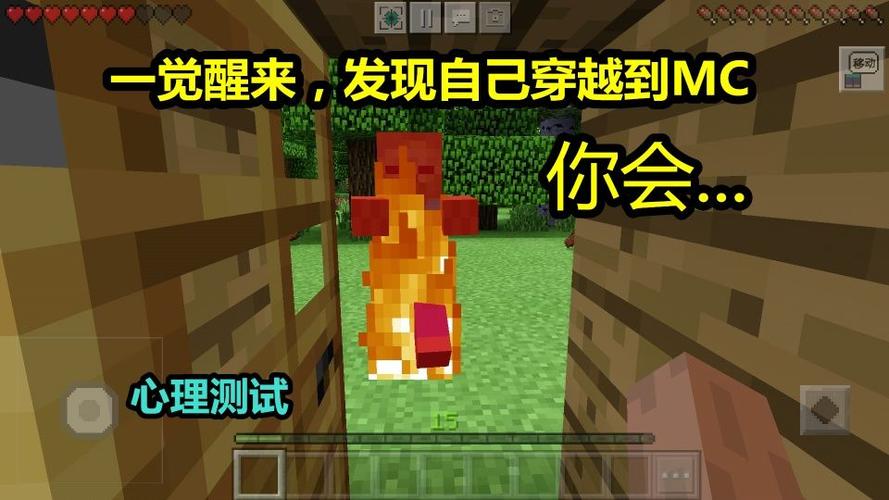 mc老玩家测试题