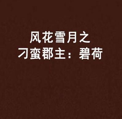 碧荷小说图标