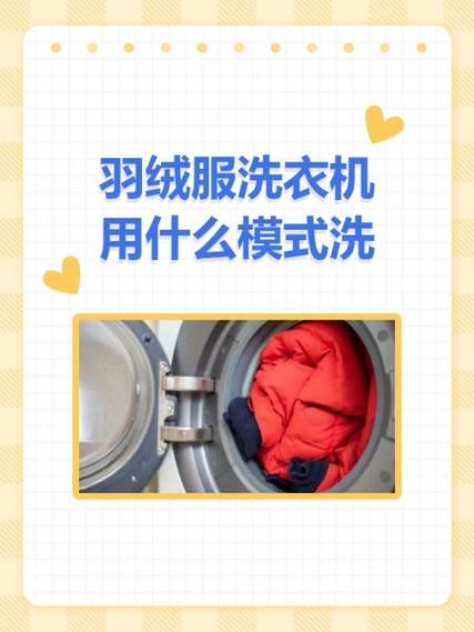羽绒服模式可以洗羽绒服吗图标