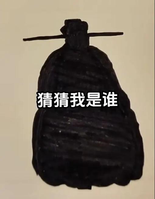 akinator安卓版免费下载图标