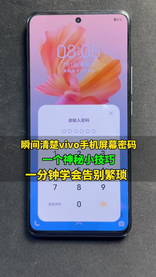 vivo手机重置密码是多少图标