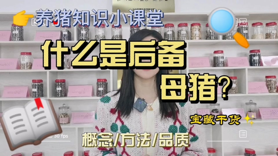 一起养猪是什么意思图标
