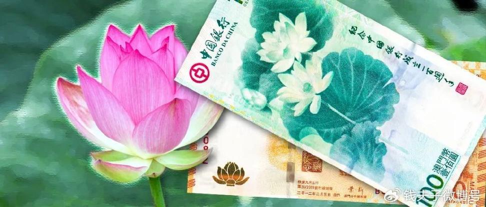 荷花钞100元最新价格图标