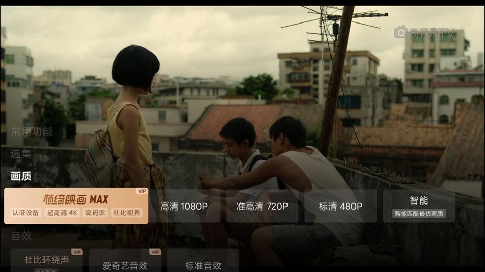 爱奇艺账号别人登录能看见什么图标