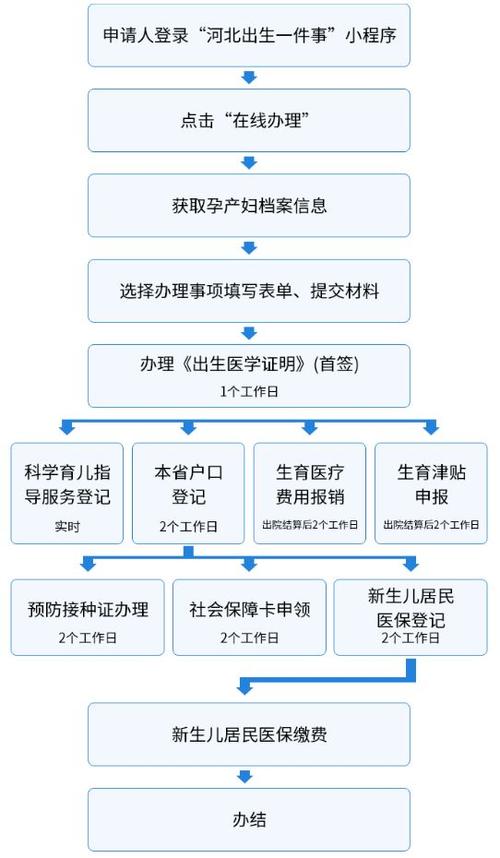 如何办理生育登记