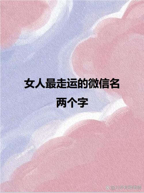 两个字的微信名字女