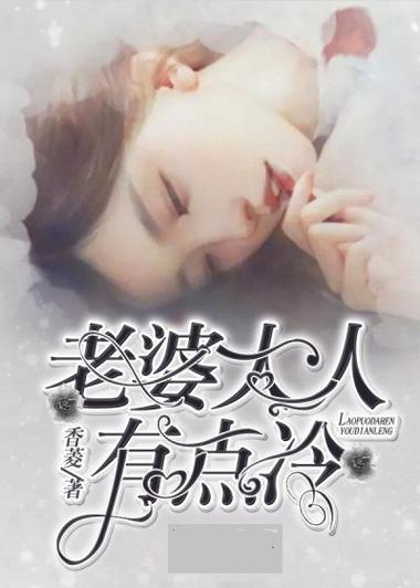 老婆大人有点冷全文免费阅读小说