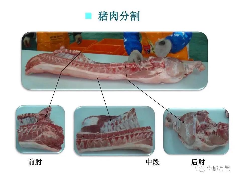 多子多福:开局肉禽系统穿越细节图标