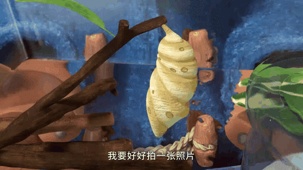 关于毛毛虫的小游戏图标