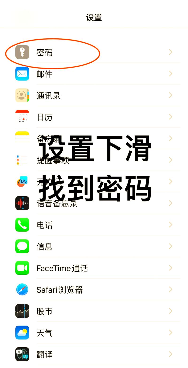 苹果存储的密码在哪里看图标