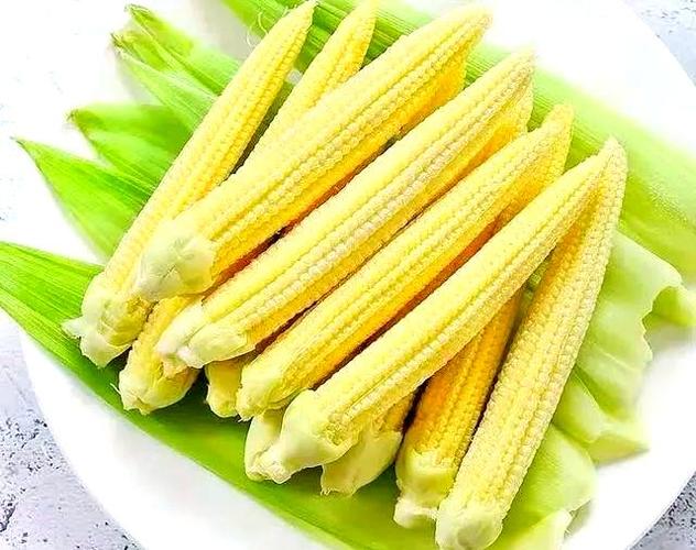 玉米笋适合减肥吗图标