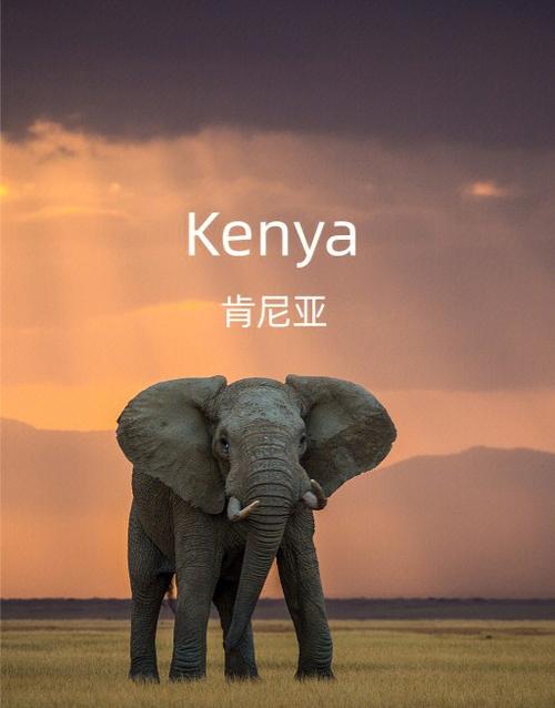 肯尼亚飞机票多少钱图标