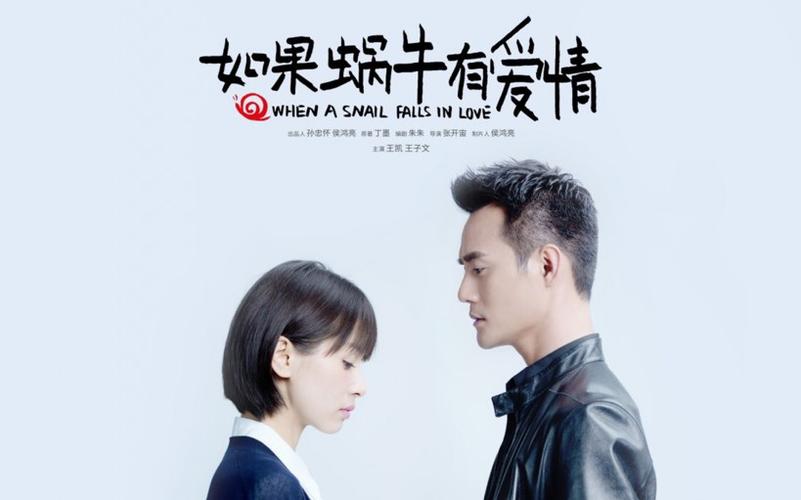 蜗牛私人影院免费高清电视剧大全