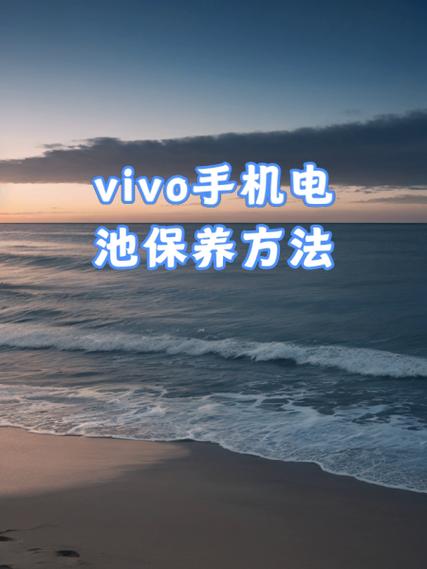 vivo手机电池如何修复截图