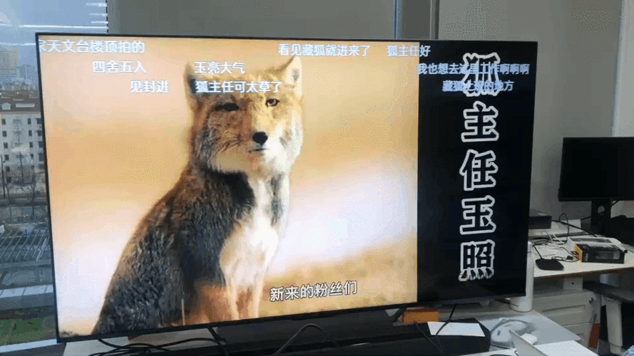 电视投屏可以有弹幕吗图标