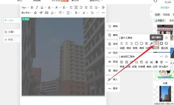 365编辑器图标