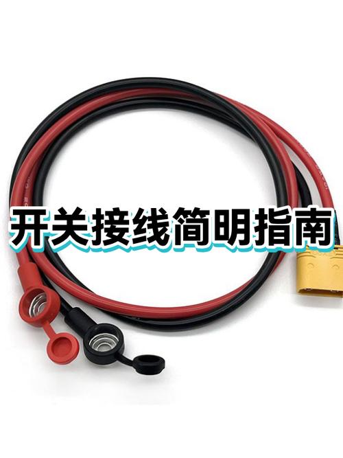 开关只有L和L1图标