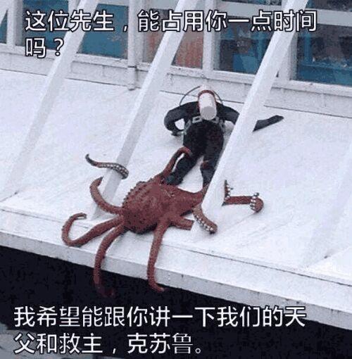 章鱼输入法输入文字不出表情图标