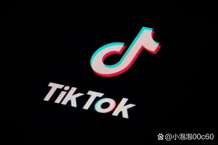 tiktok破解版国内可用图标