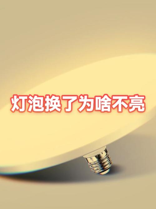 换上灯泡闪一下就不亮了截图