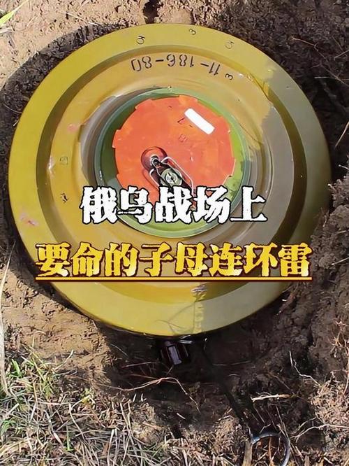 真假子母雷的用法图标
